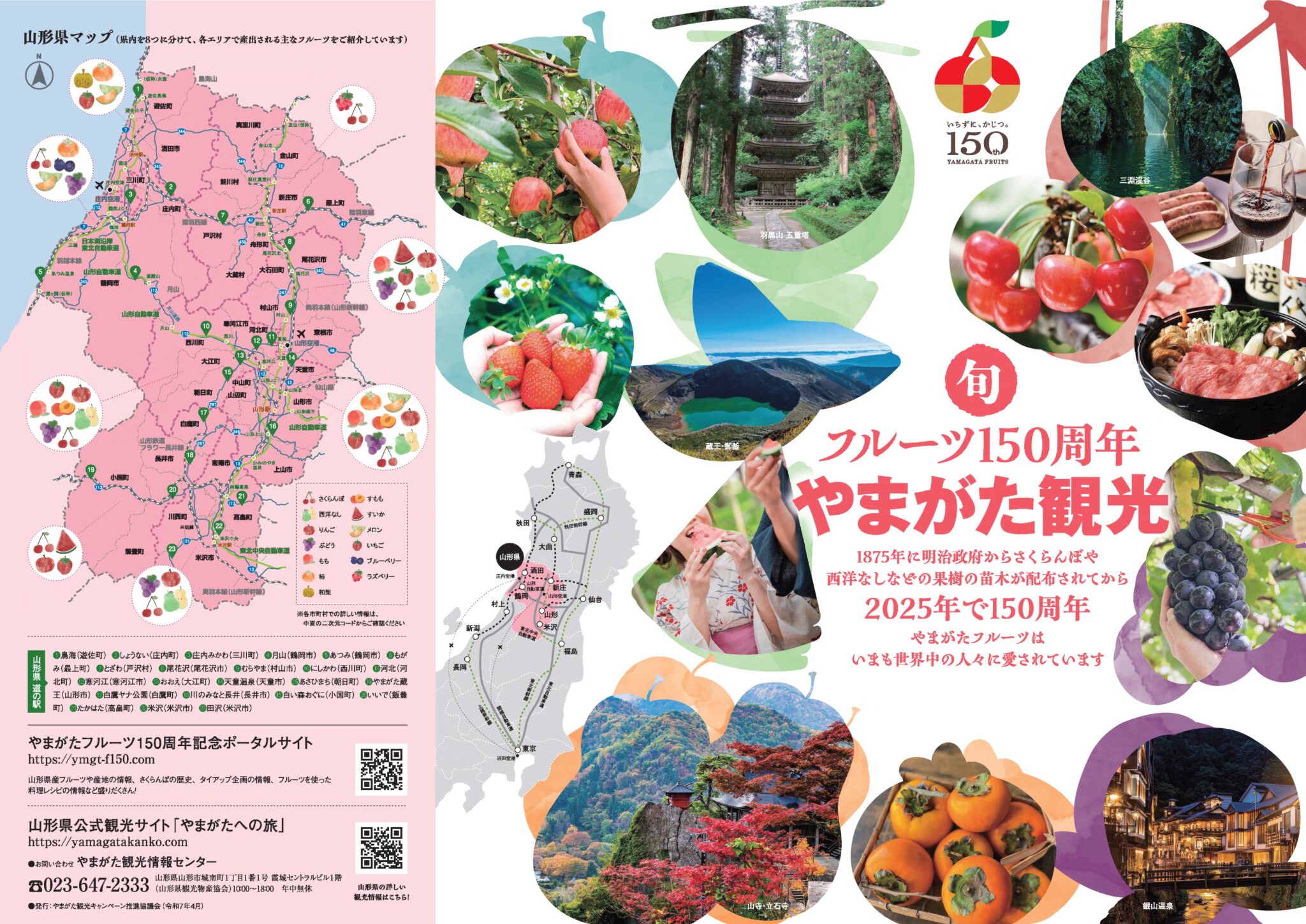 やまがたフルーツ150周年！ | 【公式】最上地域の観光情報サイト - AMAZINGMOGAMI